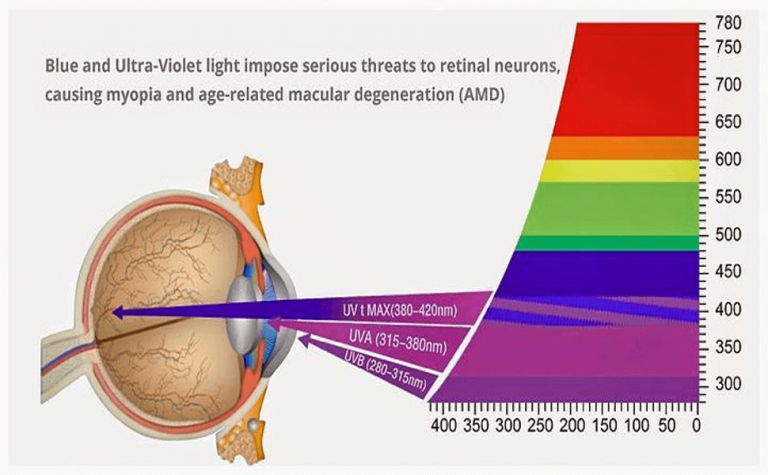eye saver - CareUEyes